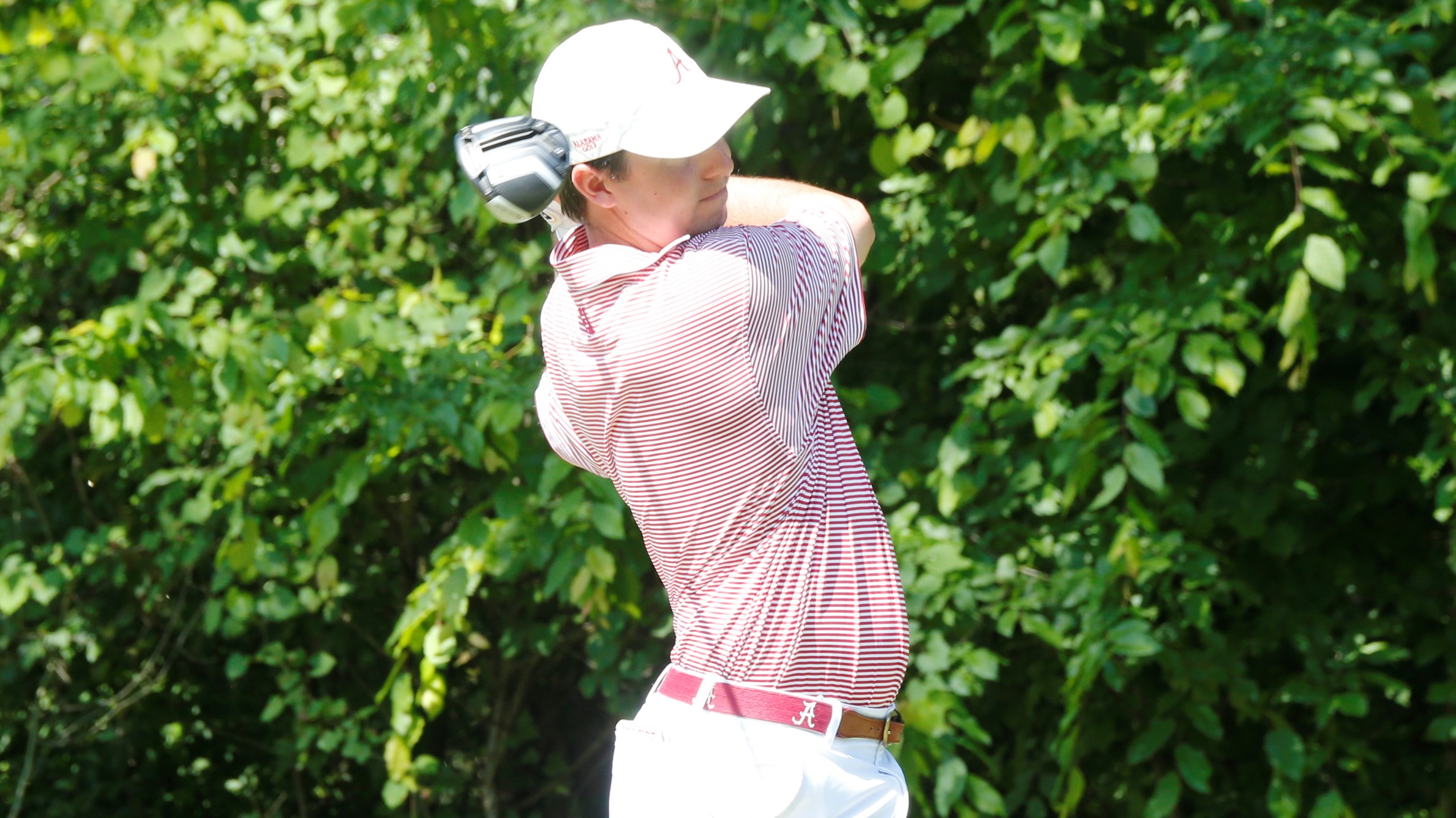 Alex Green - Men's Golf - University of Alabama Athletics