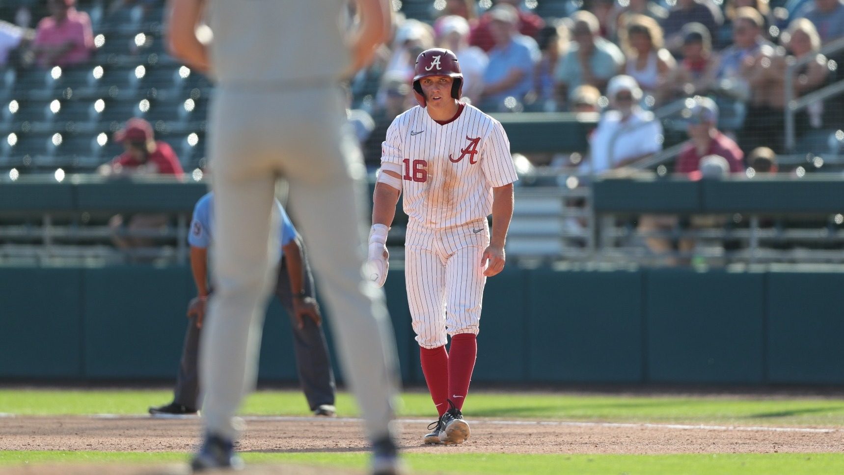 Colby Shelton - Baseball - University of Alabama Athletics