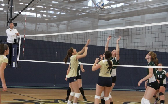 Morgan Wicks - 2016 - Women's Volleyball - SUNY Canton Athletics
