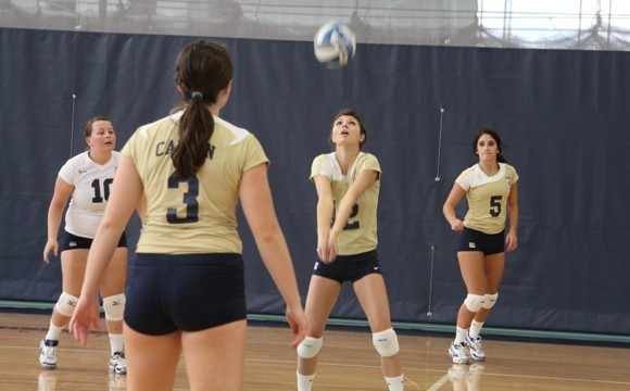 Morgan Wicks - 2016 - Women's Volleyball - SUNY Canton Athletics