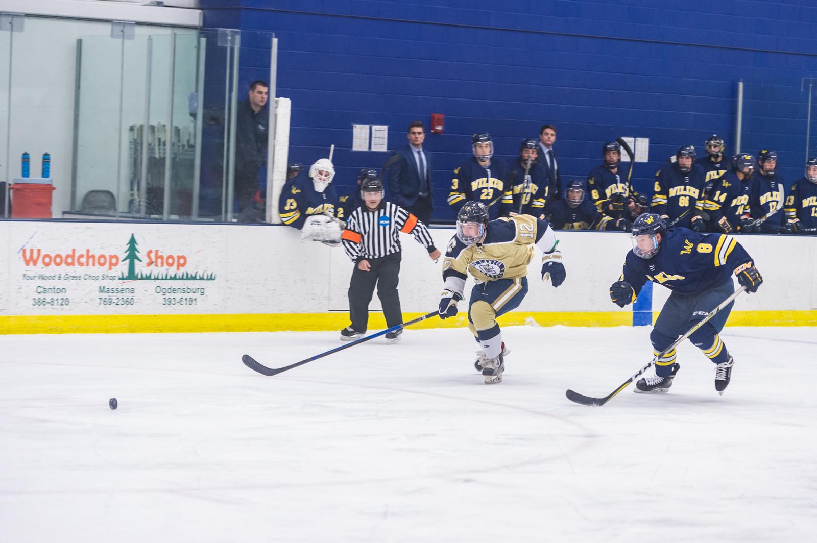 Conklin and David Post Two Points Each in Men’s Hockey 4-4 Tie at ...