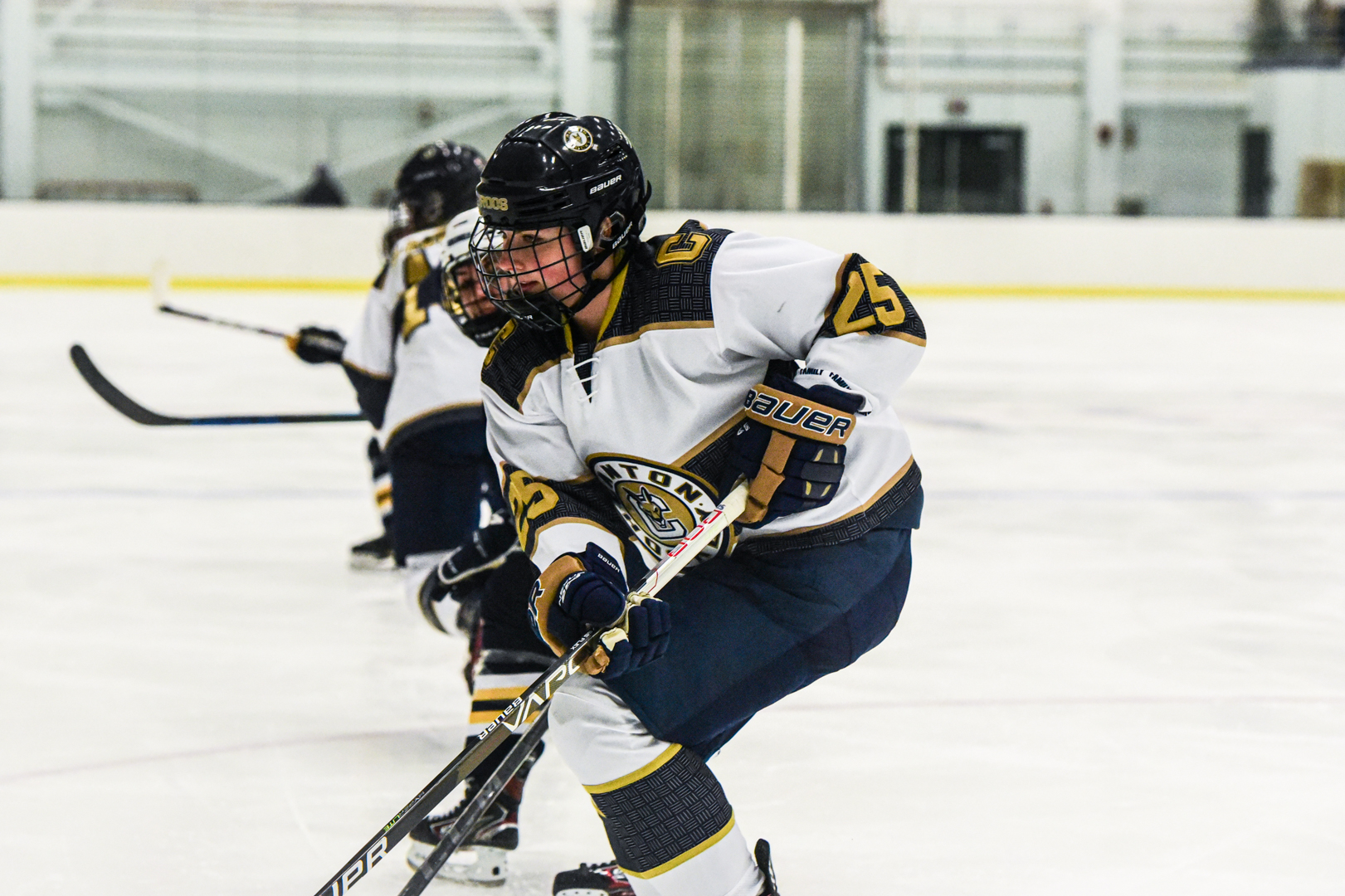 Best & Emmerton Score as Bears Earn NEWHL Win v. Women’s Hockey - SUNY ...