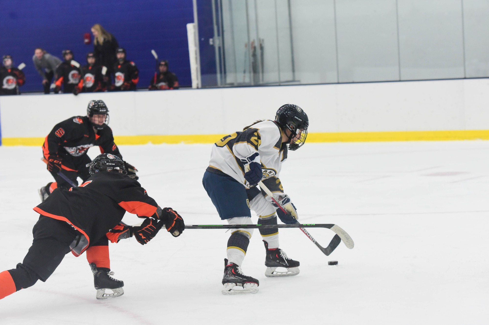 Ditoro & O’Keefe Score as Roos Fall 5-2 to #4 Plattsburgh - SUNY Canton ...
