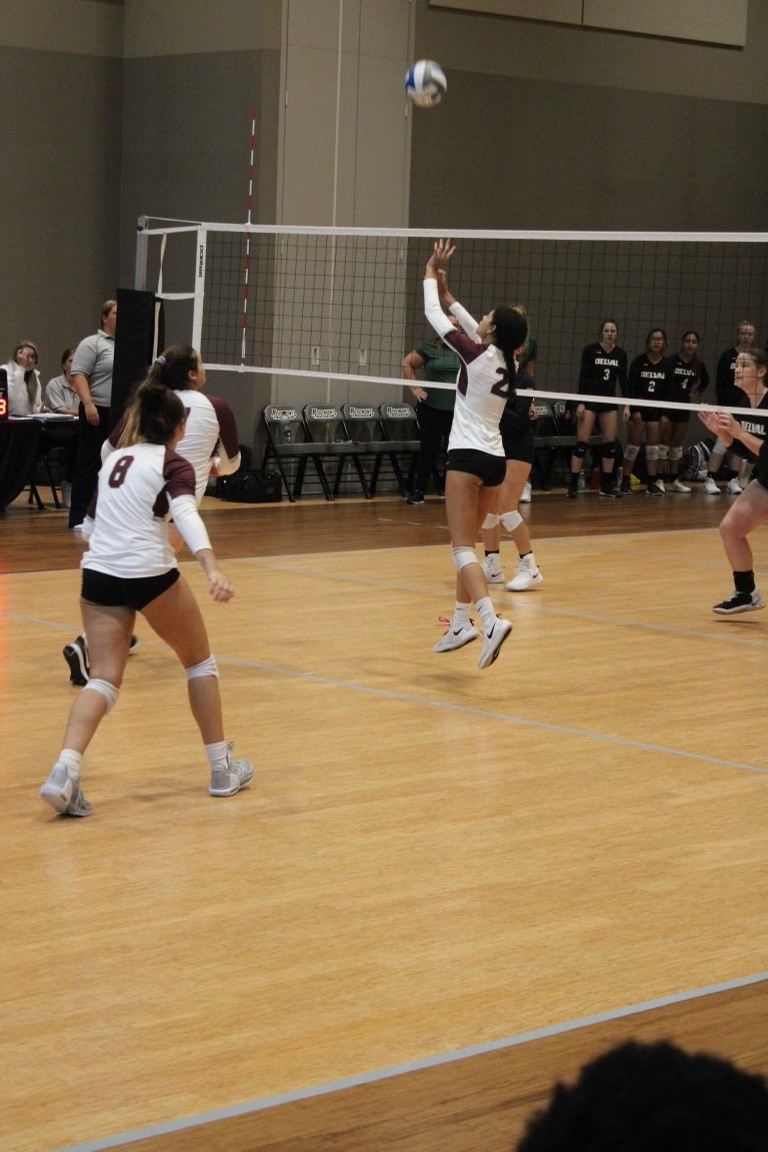 Erika Knapp - Women's Volleyball - Rosemont College Athletics