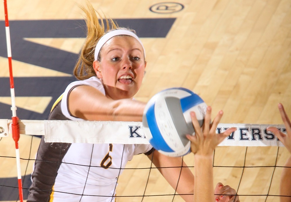 Morgan Mende - 2014 - Women's Volleyball - Rowan University Athletics