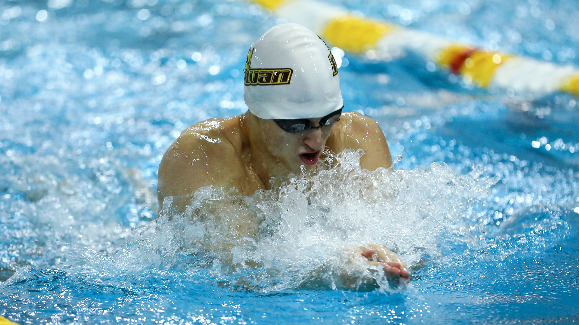 Noah Shepard - 2020-21 - Men's Swimming - Rowan University Athletics