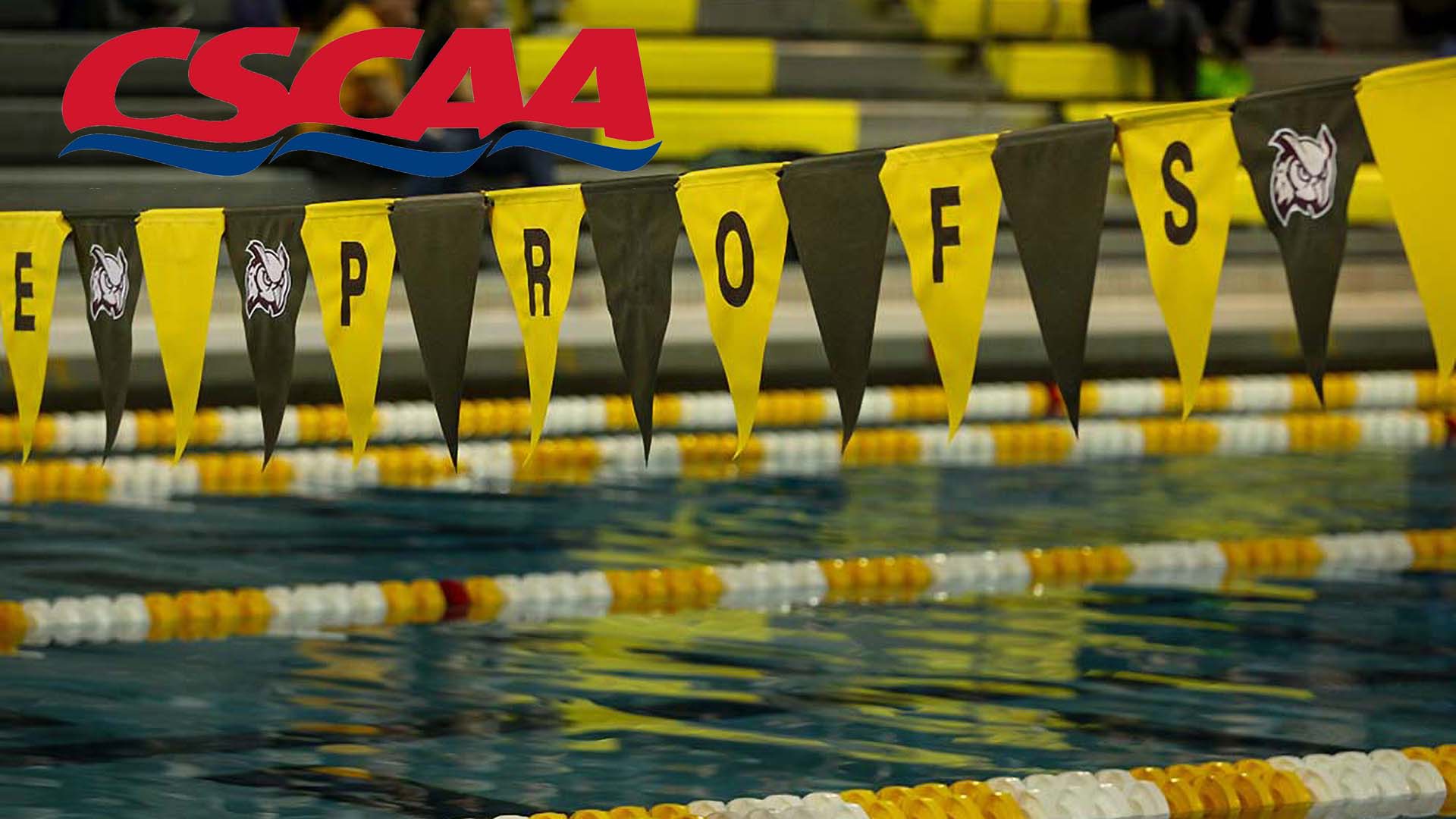 Men's and Women's Swimming & Diving Squads Named CSCAA Scholar All ...