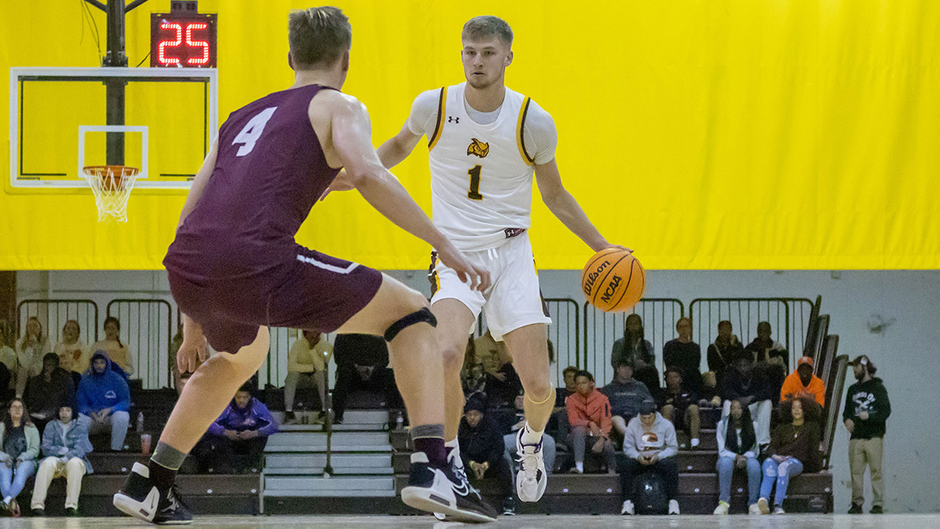 Six Players in Double Figures Helps Men's Basketball Down Salisbury ...