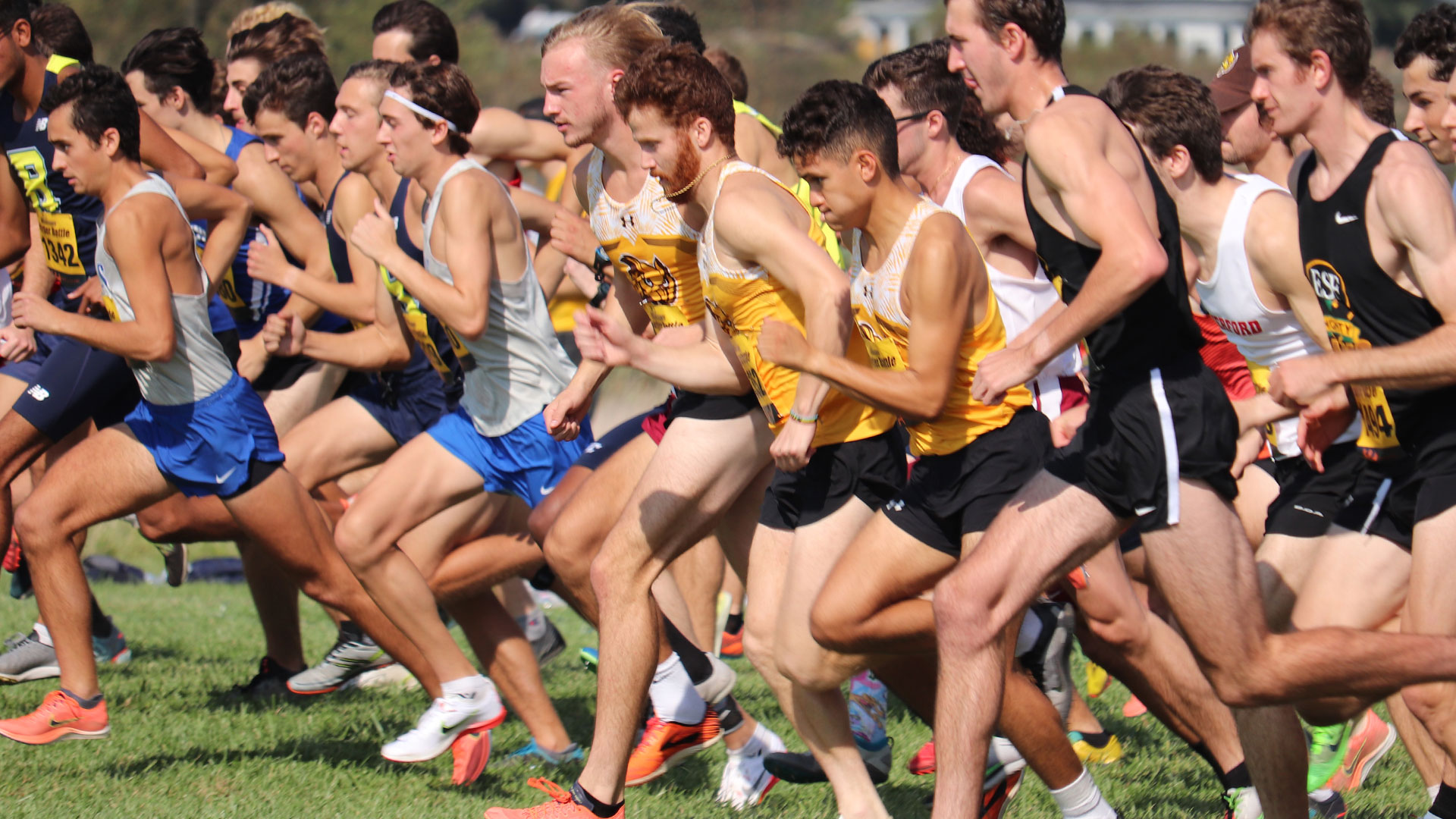 Men's Cross Country Claims Second at Salisbury; Kelly Claims Individual ...