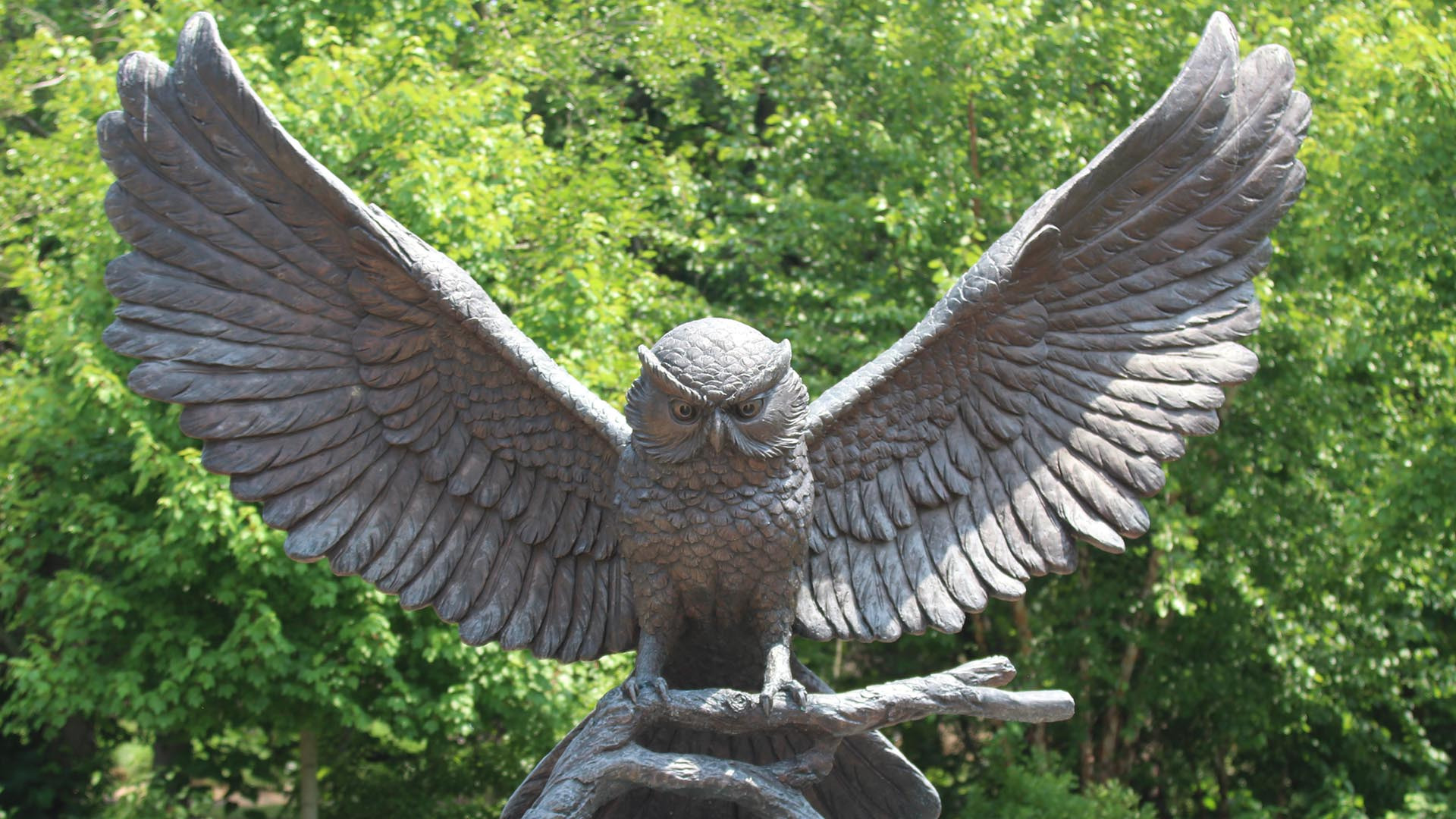 Scholar-Athletes of Distinction and Scholar-Athletes Named for 2022-23 ...