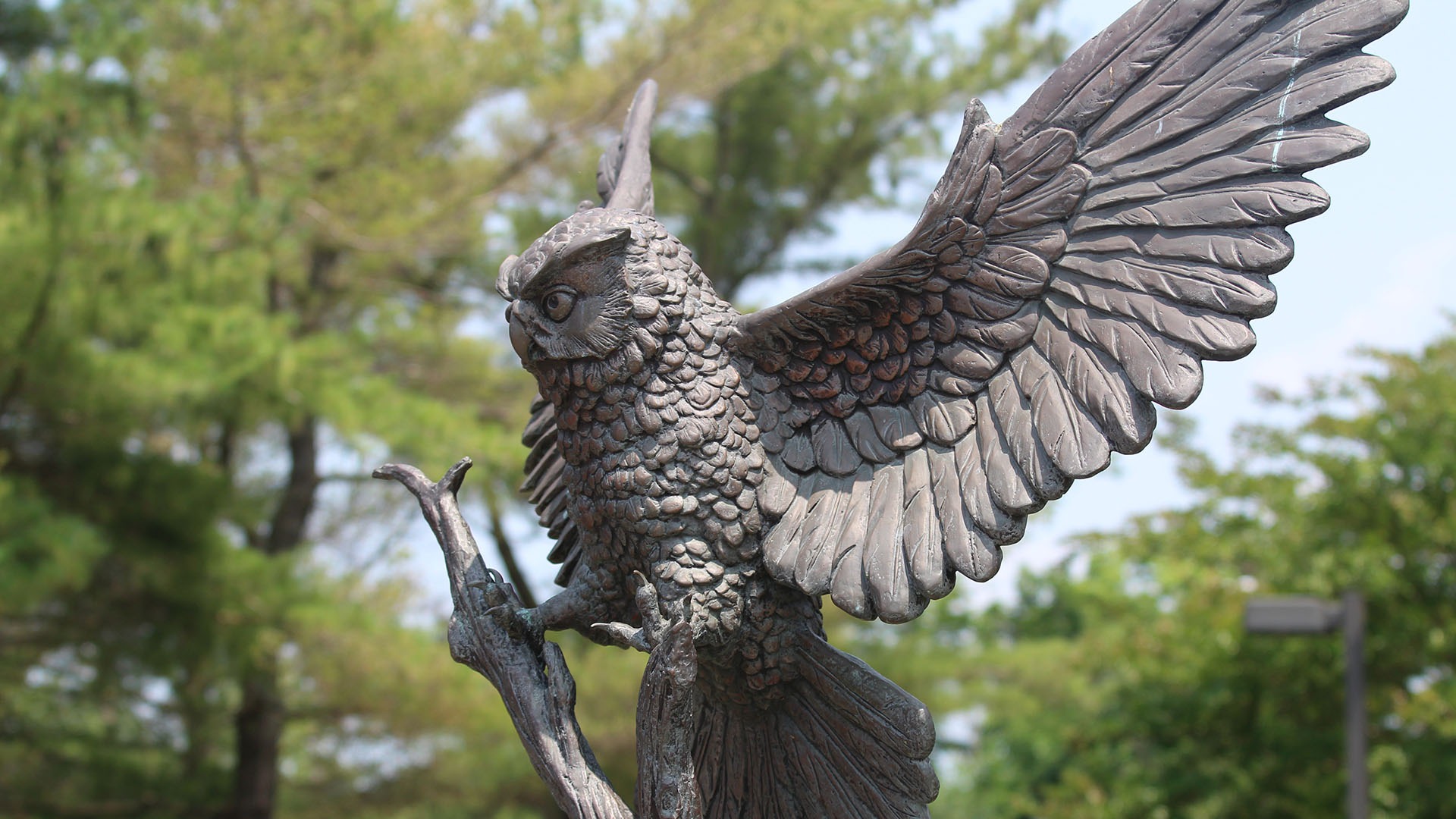 Rowan Welcomes New Director of Athletics Shawn Tucker - Rowan ...