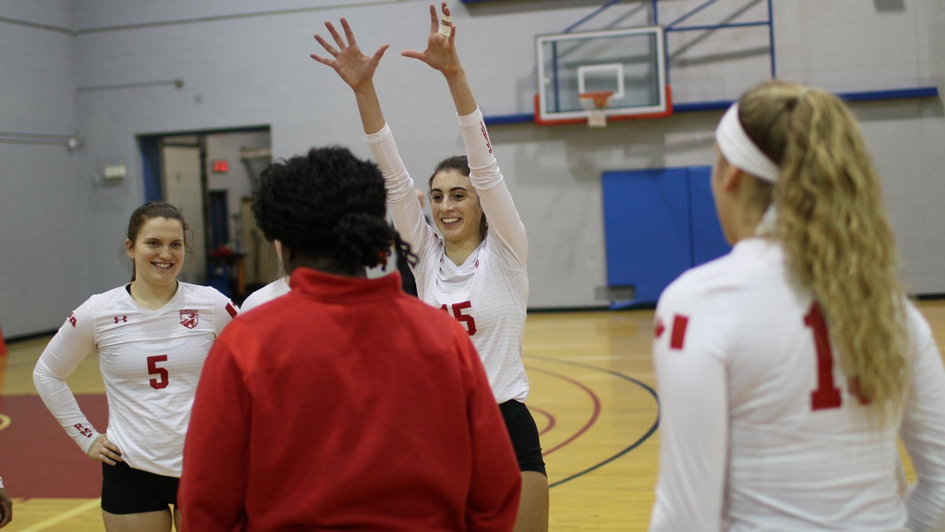 Logan Rook - 2019-20 - Women's Volleyball | Volleyball féminin - Royal ...