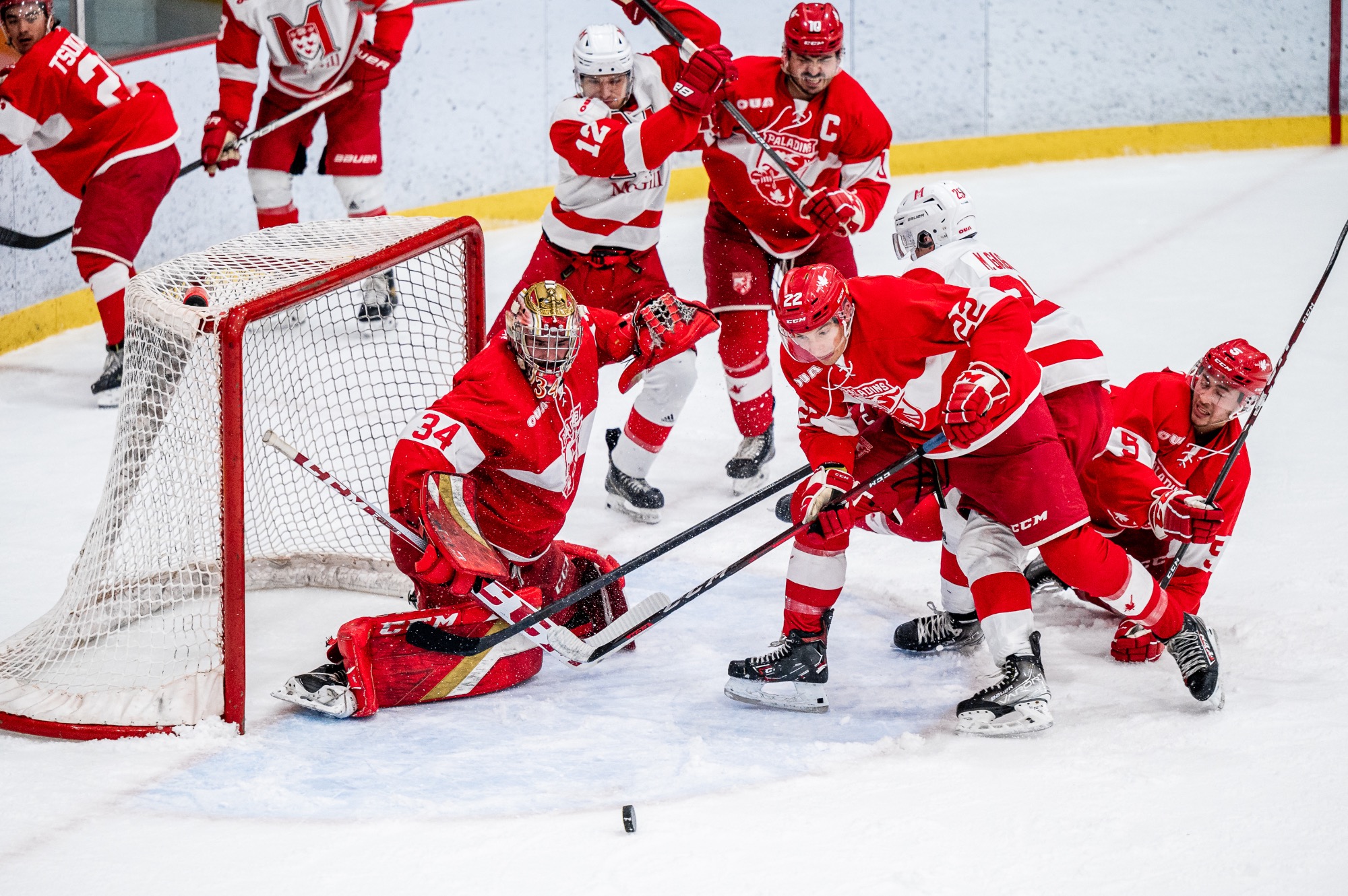 Paladins Defeat Redbirds in Thrilling Season Opener | Les Paladins ...