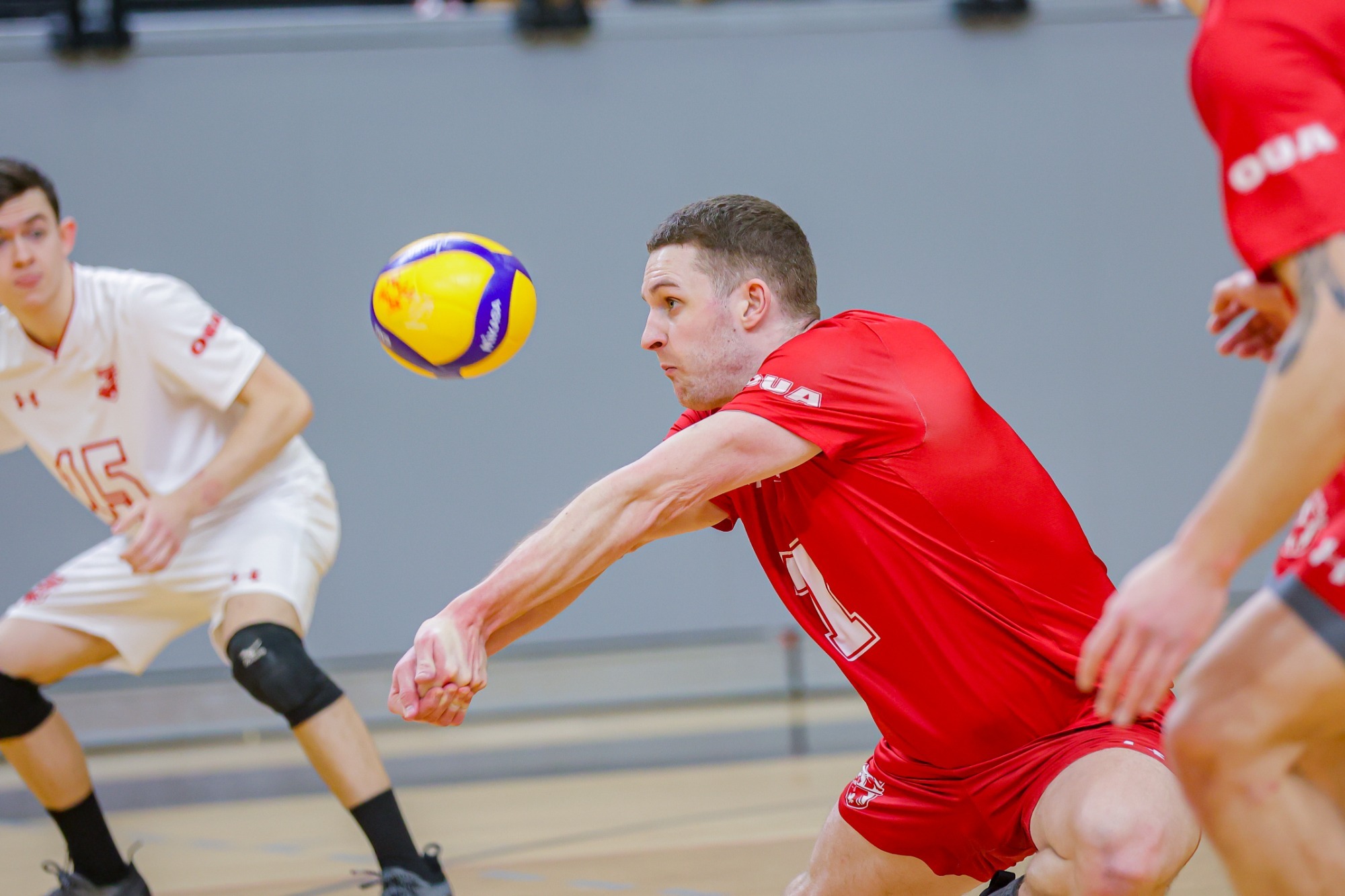 Paladins Conclude Season Against Gryphons | Les Paladins concluent leur ...