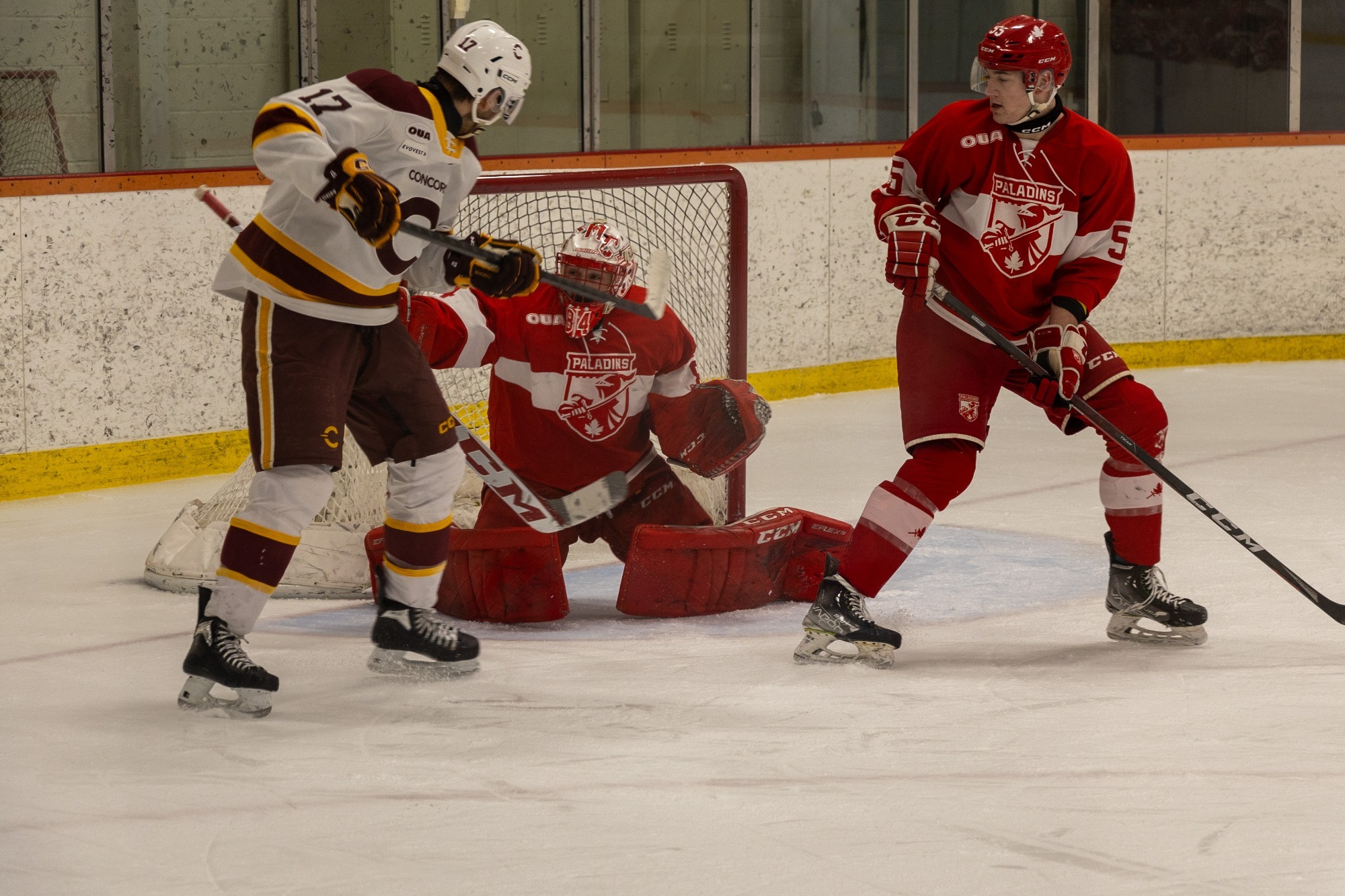 Paladins Unable to Keep Pace With Stingers | Une deuxième période qui ...