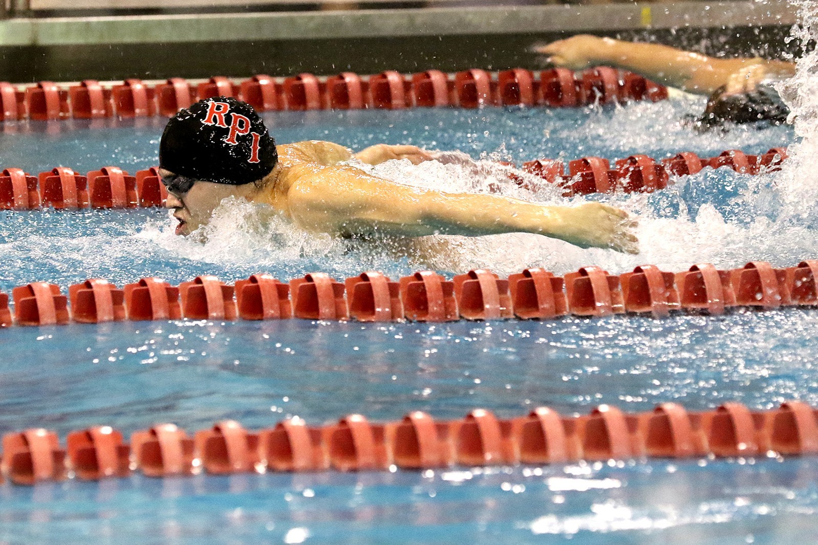 Brian Polo - 2015-16 - Men's Swimming & Diving - Rensselaer Polytechnic ...
