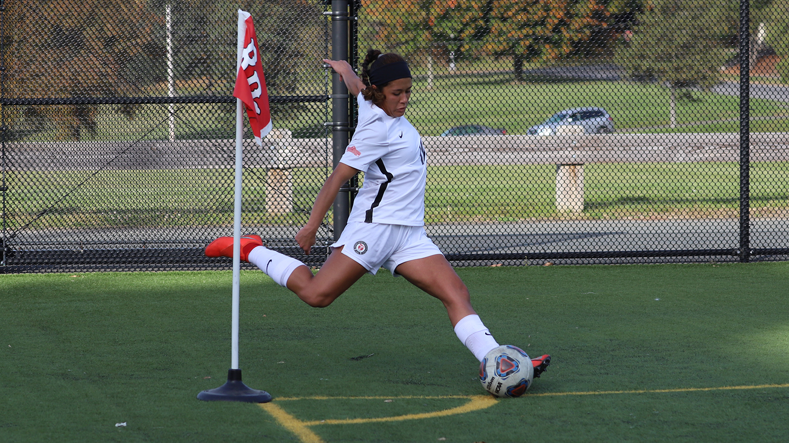 Senior Celebration Series: Alexis Castrellon - Rensselaer Polytechnic ...