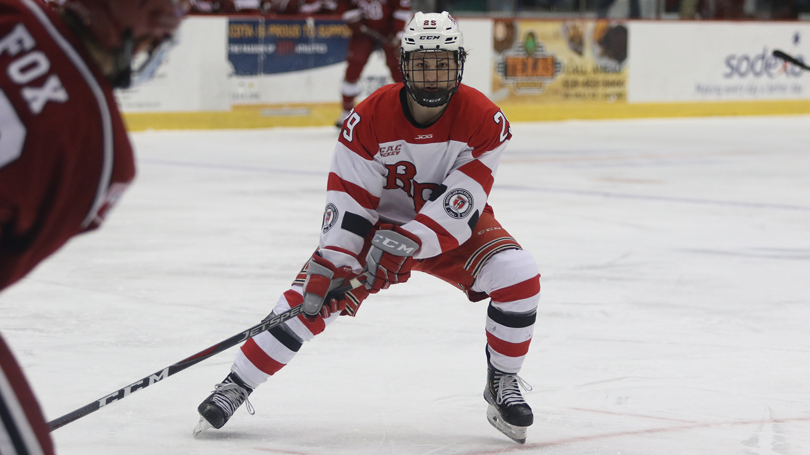 Men's Hockey Exhibition Game is Saturday - Rensselaer Polytechnic ...