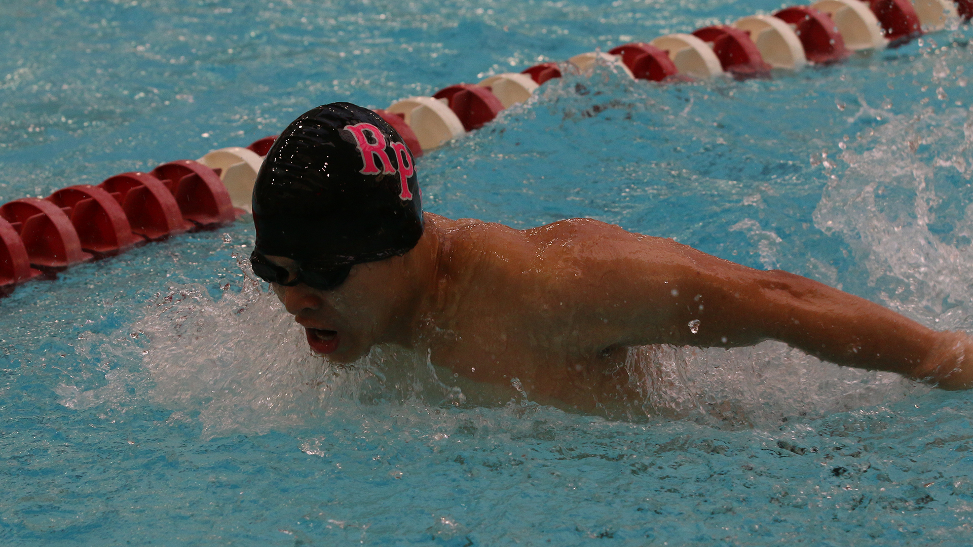 Eric Liu - 2019-20 - Men's Swimming & Diving - Rensselaer Polytechnic ...