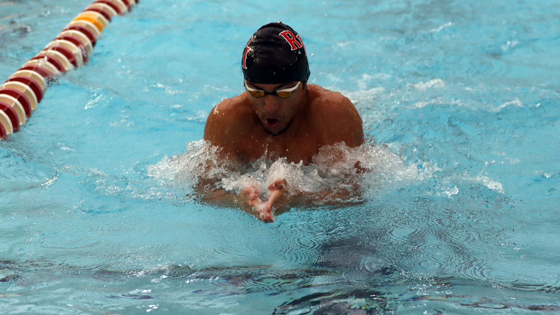 Swimming & Diving Sweeps Continentals - Rensselaer Polytechnic ...