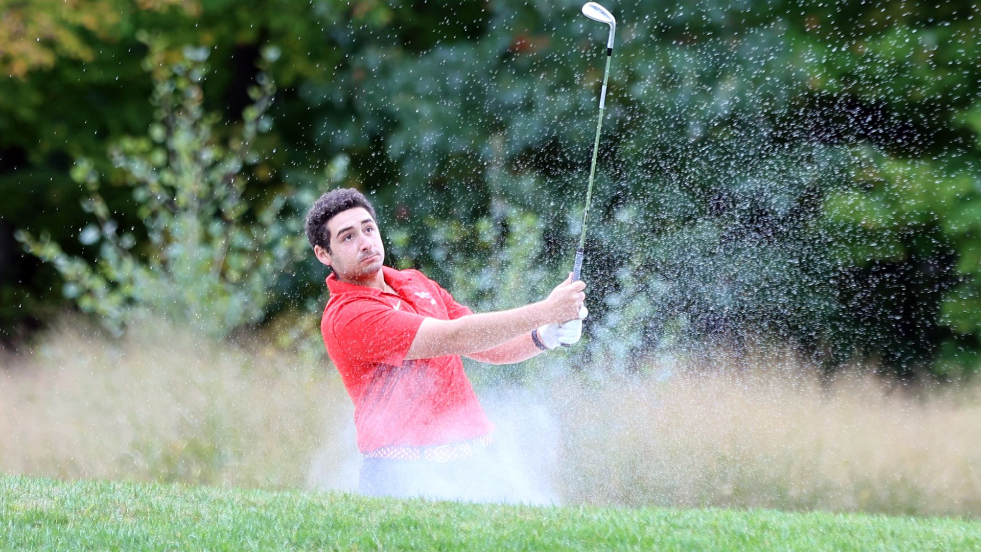 Joey Harrigan - 2022-23 - Men's Golf - Rensselaer Polytechnic Institute ...