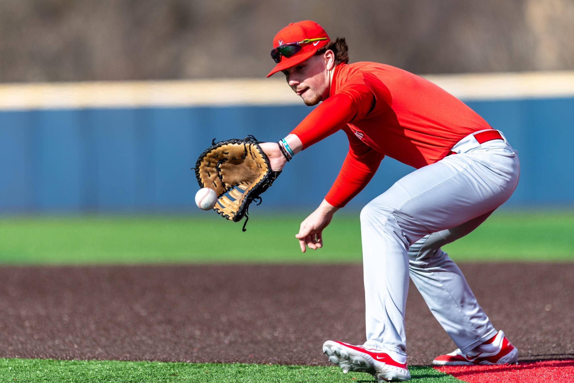 Highlanders Record Back-to-Back Nineteen Run Games to Win Series ...