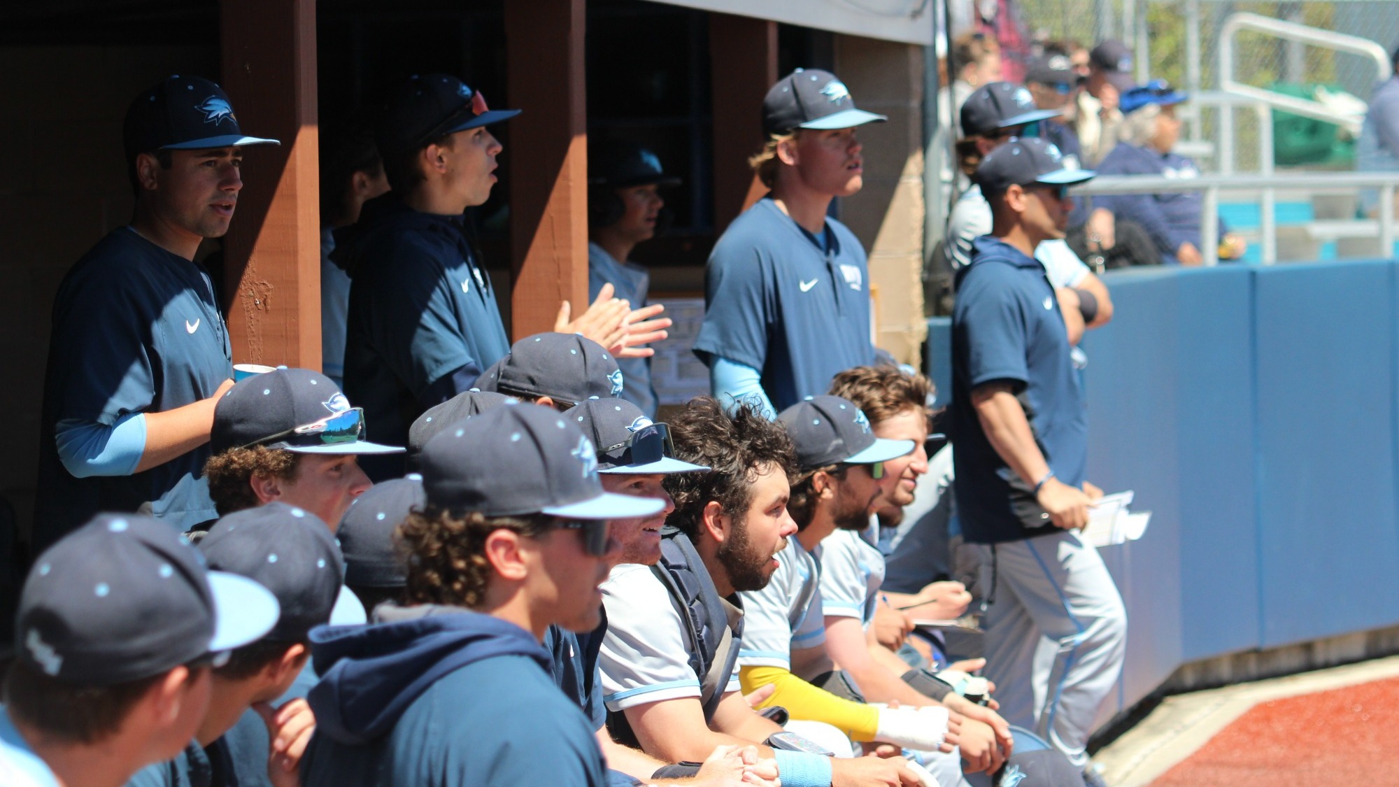 Baseball: Hawks Pick Up First Loss of CCC Tournament to #1 Endicott - Roger Williams University ...
