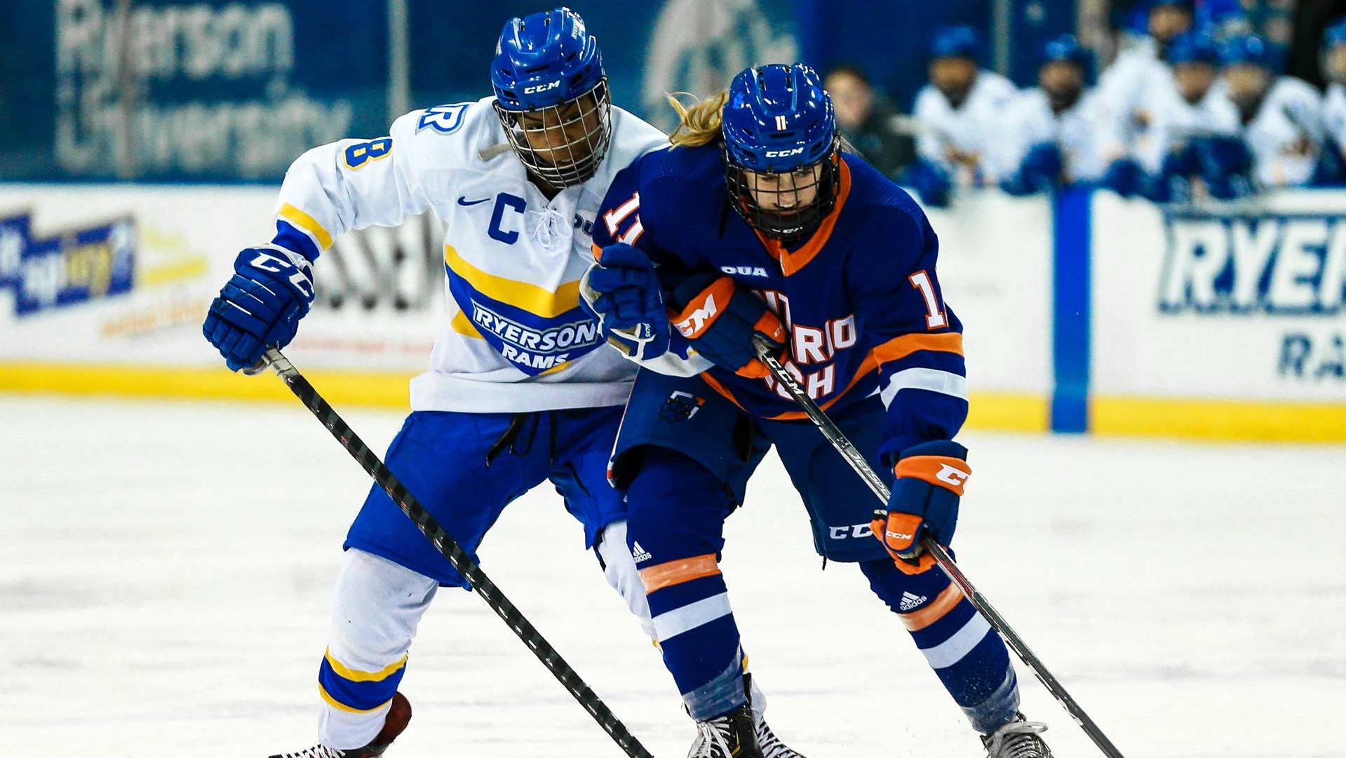 Historic night for Green as Rams triumph over Ridgebacks - TMU ...