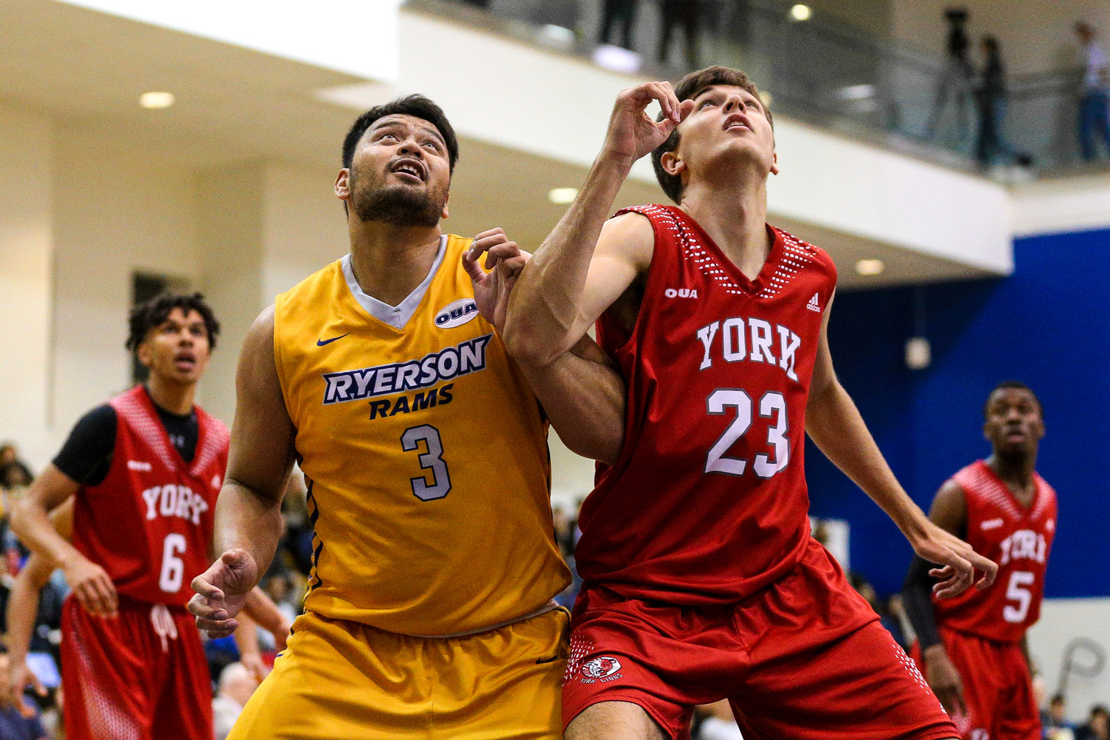 Brandon Ramirez - 2019-20 - Basketball (M) - TMU Athletics & Recreation