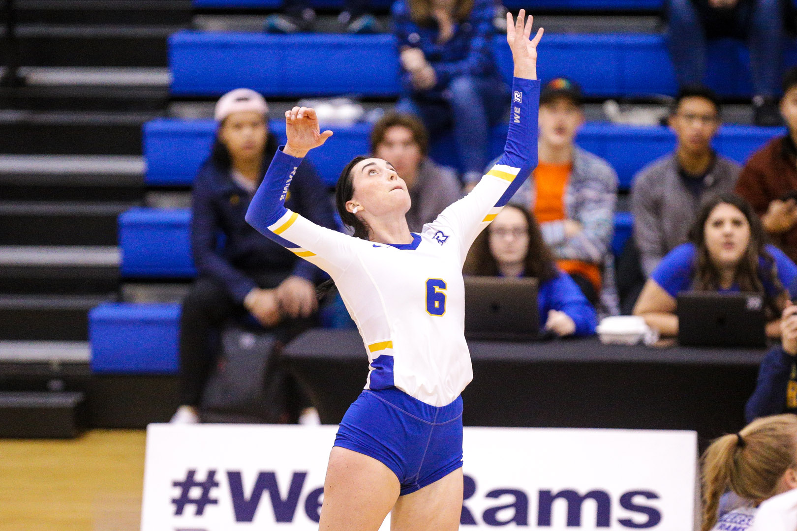 Kelly Schaefer - 2020-21 - Volleyball (W) - TMU Athletics & Recreation