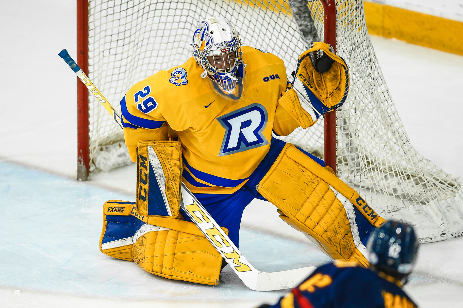 Taylor Dupuis - 2019-20 - Hockey (M) - TMU Athletics & Recreation