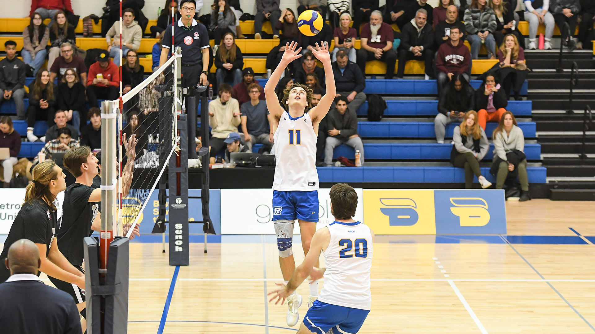 Marauders take a straight set win from Bold - TMU Athletics & Recreation