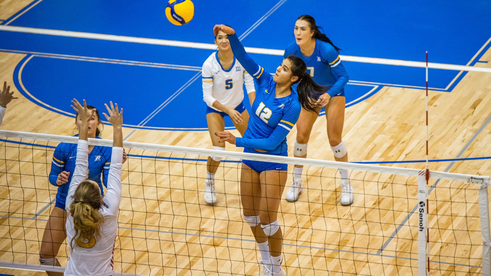 Bold even record with win over Guelph - TMU Athletics & Recreation