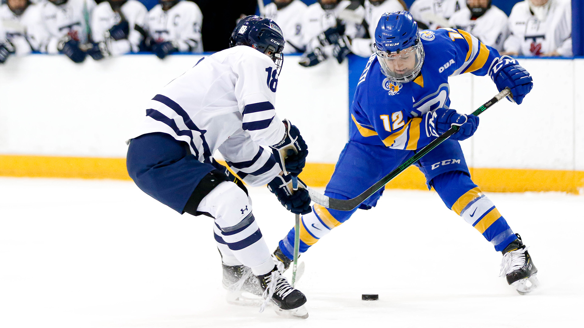 Olivia Giardetti - 2022-23 - Hockey (W) - TMU Athletics & Recreation