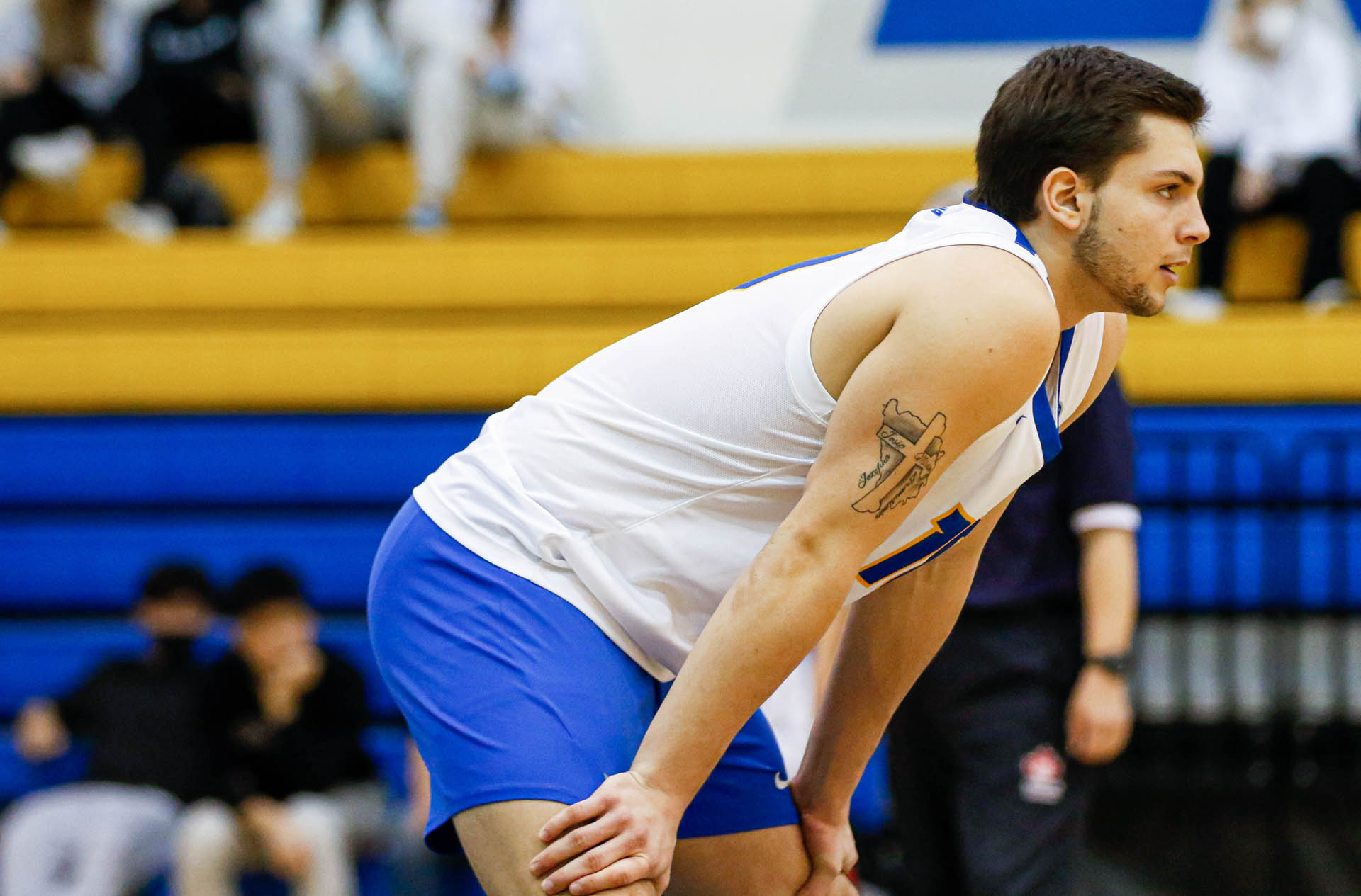 Adrian Gaspar - 2022-23 - Volleyball (M) - TMU Athletics & Recreation