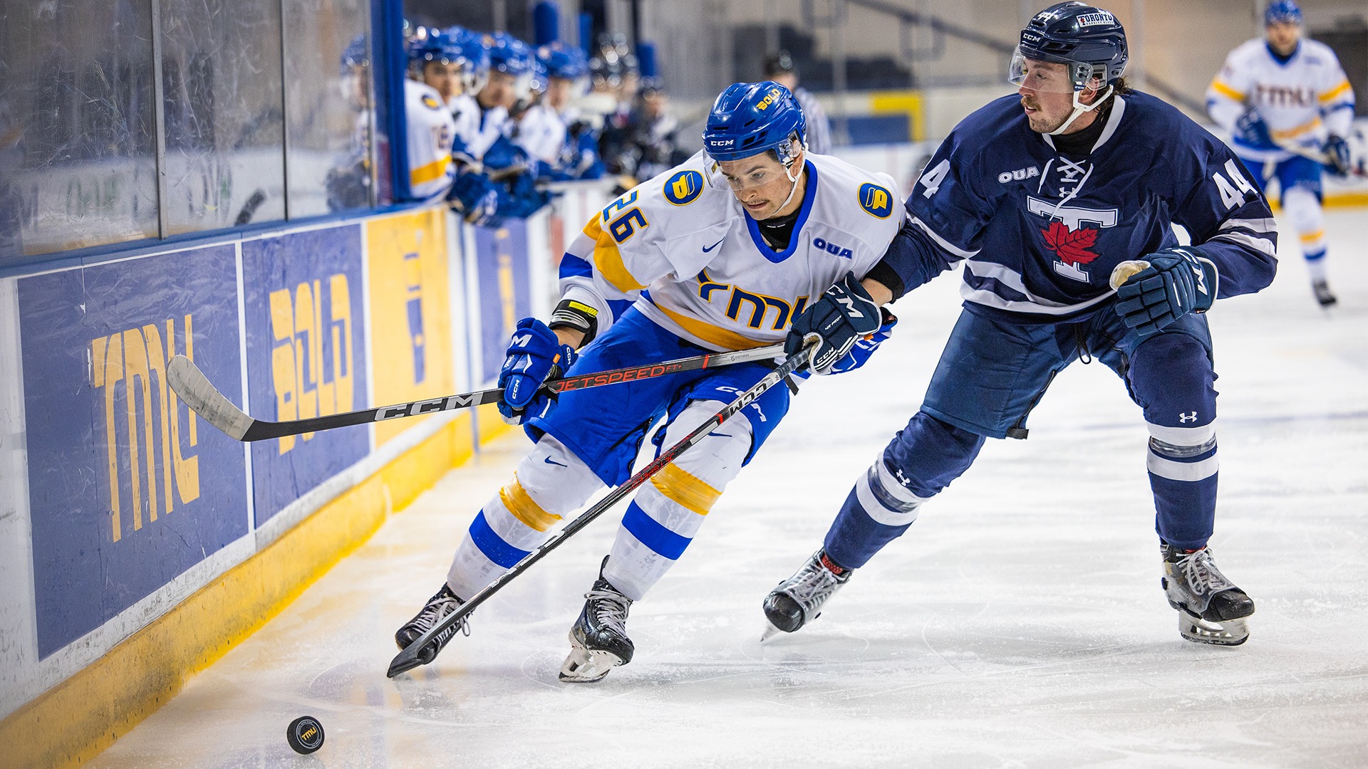 Gallagher nets teddy bear toss goal, Bold lose to Toronto neighbours ...