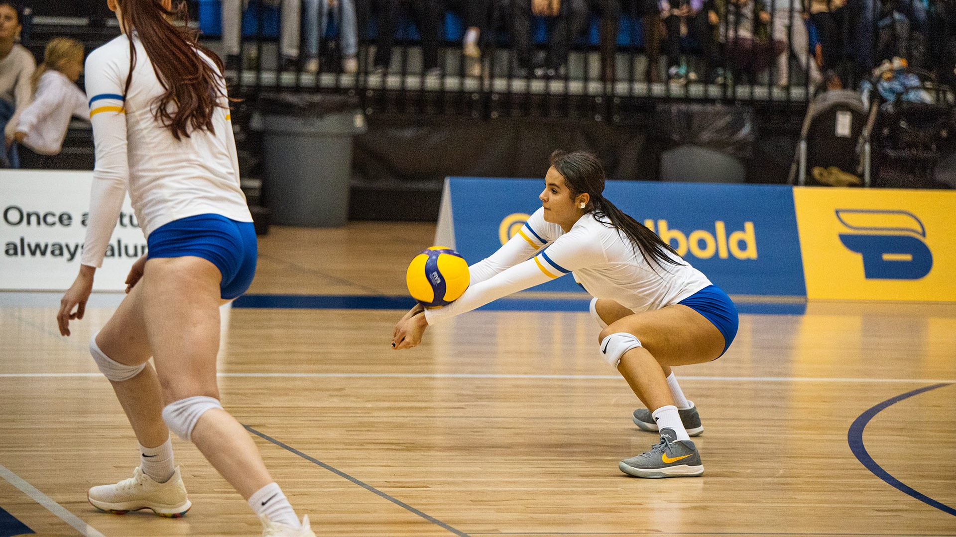 Bold win first set but fall to Lancers in Windsor - TMU Athletics ...