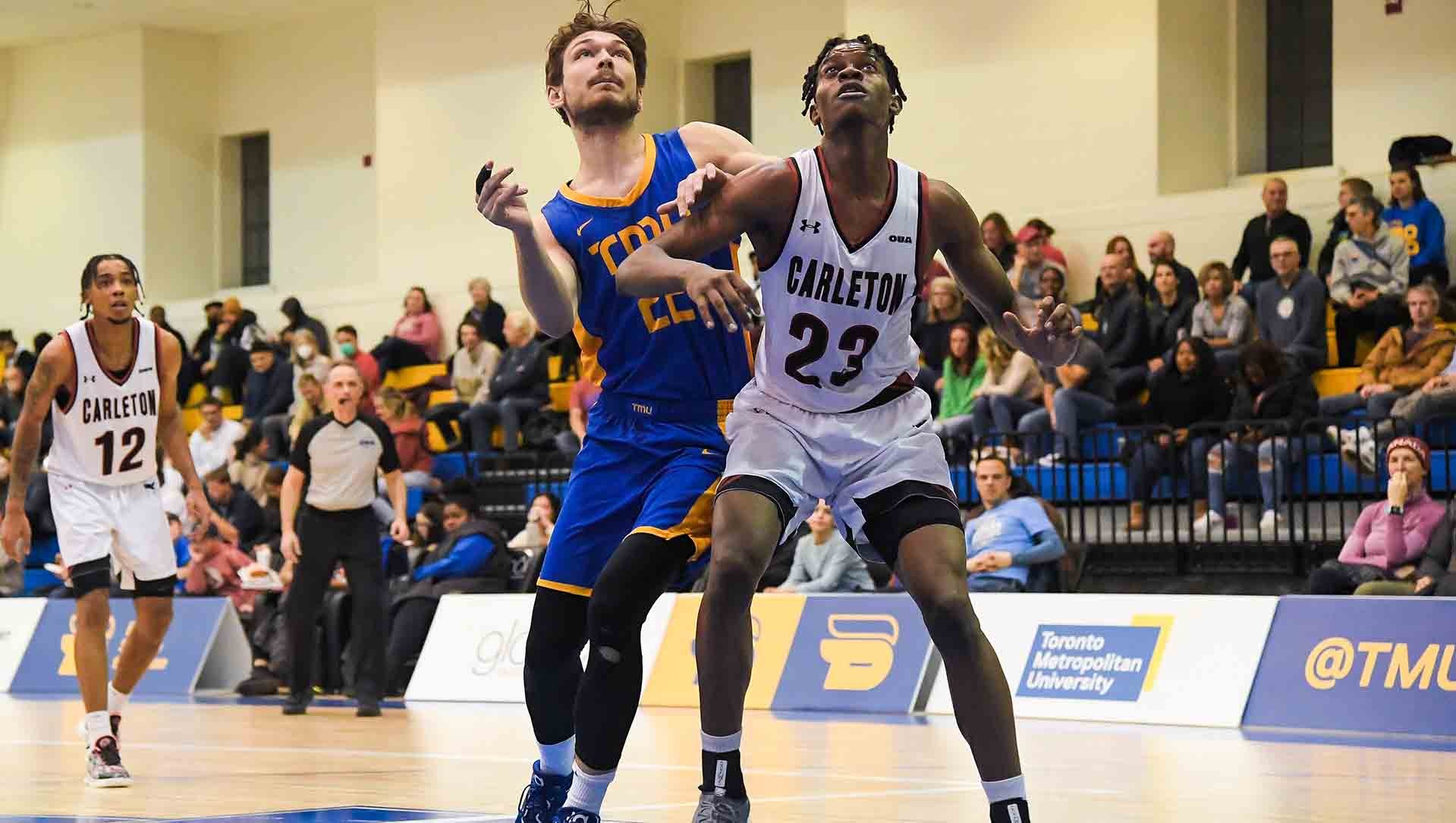 Nick Hamilton - 2022-23 - Basketball (M) - TMU Athletics & Recreation