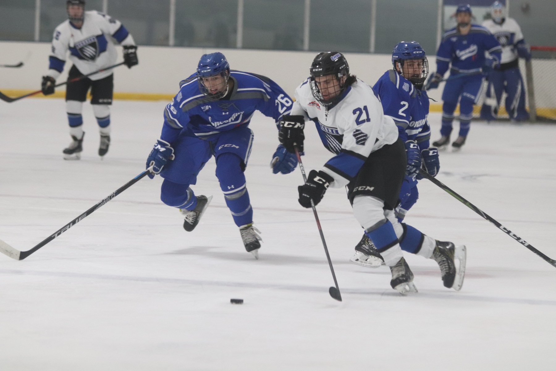No. 3 Marian ACHA D2 rallies twice for sweep of No. 2 Lindenwood ...