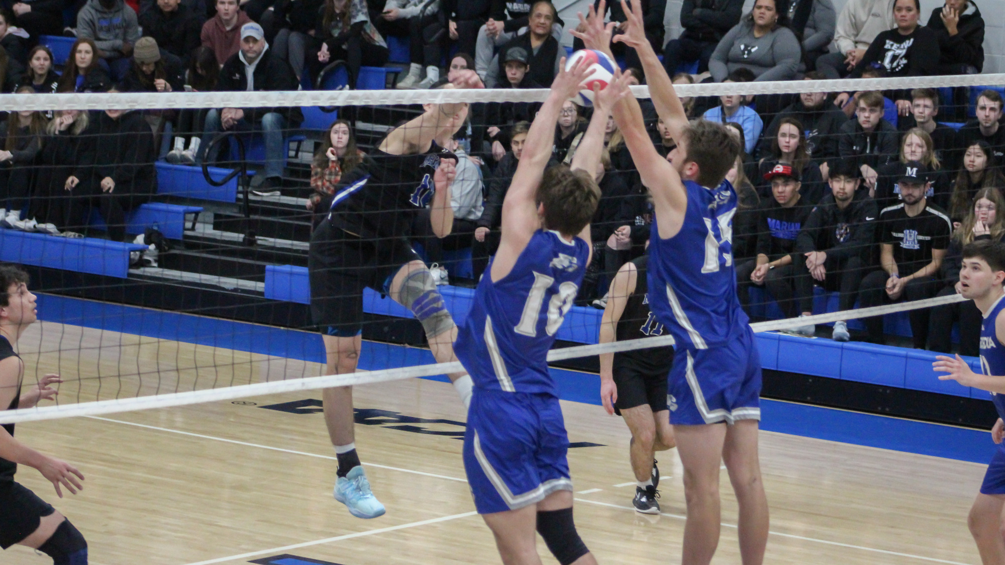 Marc Rey - 2024 - Men's Volleyball - Marian University