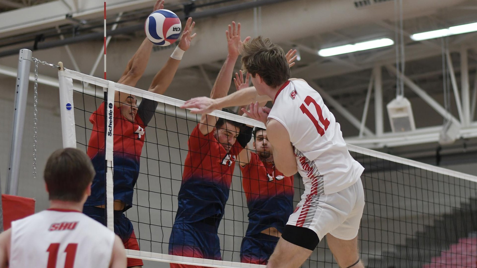 Mark Berry - 2024 - Men's Volleyball - Sacred Heart University