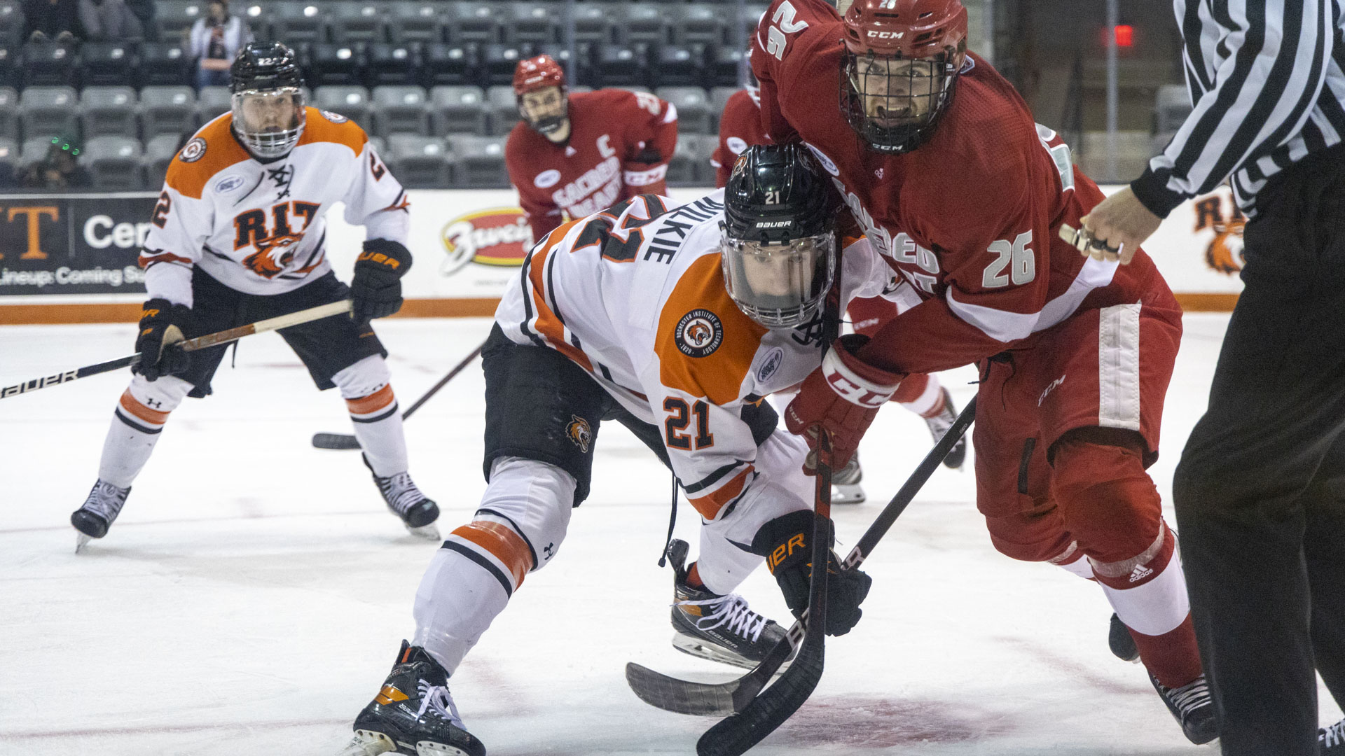 Neil Shea - 2022-23 - Men's Ice Hockey - Sacred Heart University