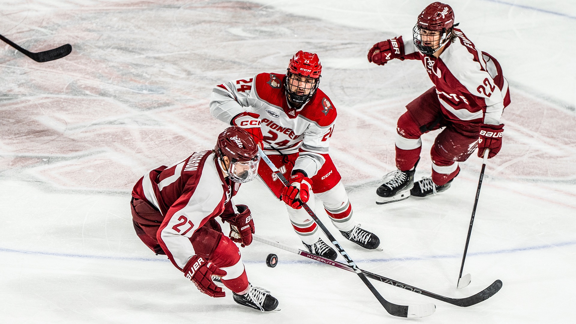 Mark Cheremeta - 2023-24 - Men's Ice Hockey - Sacred Heart University