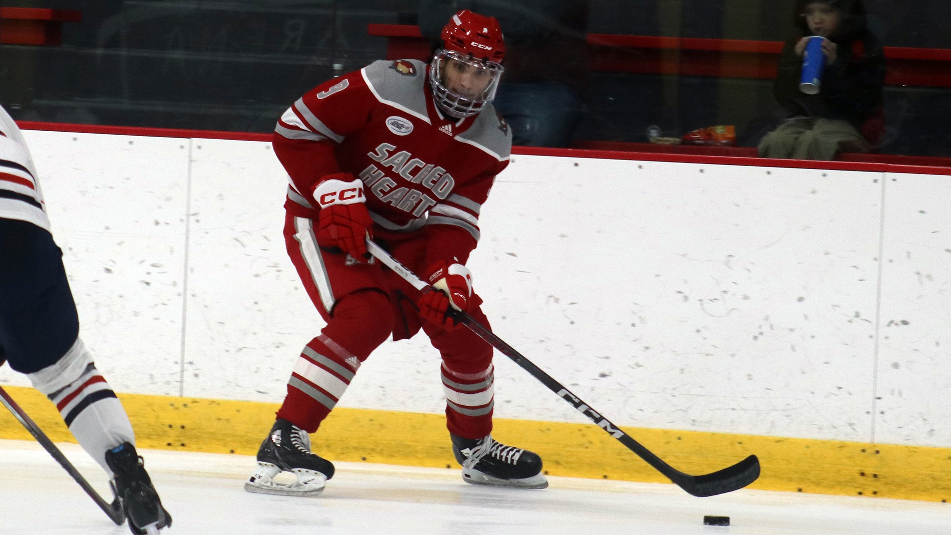 Daniel Ebrahim - 2023-24 - Men's Ice Hockey - Sacred Heart University