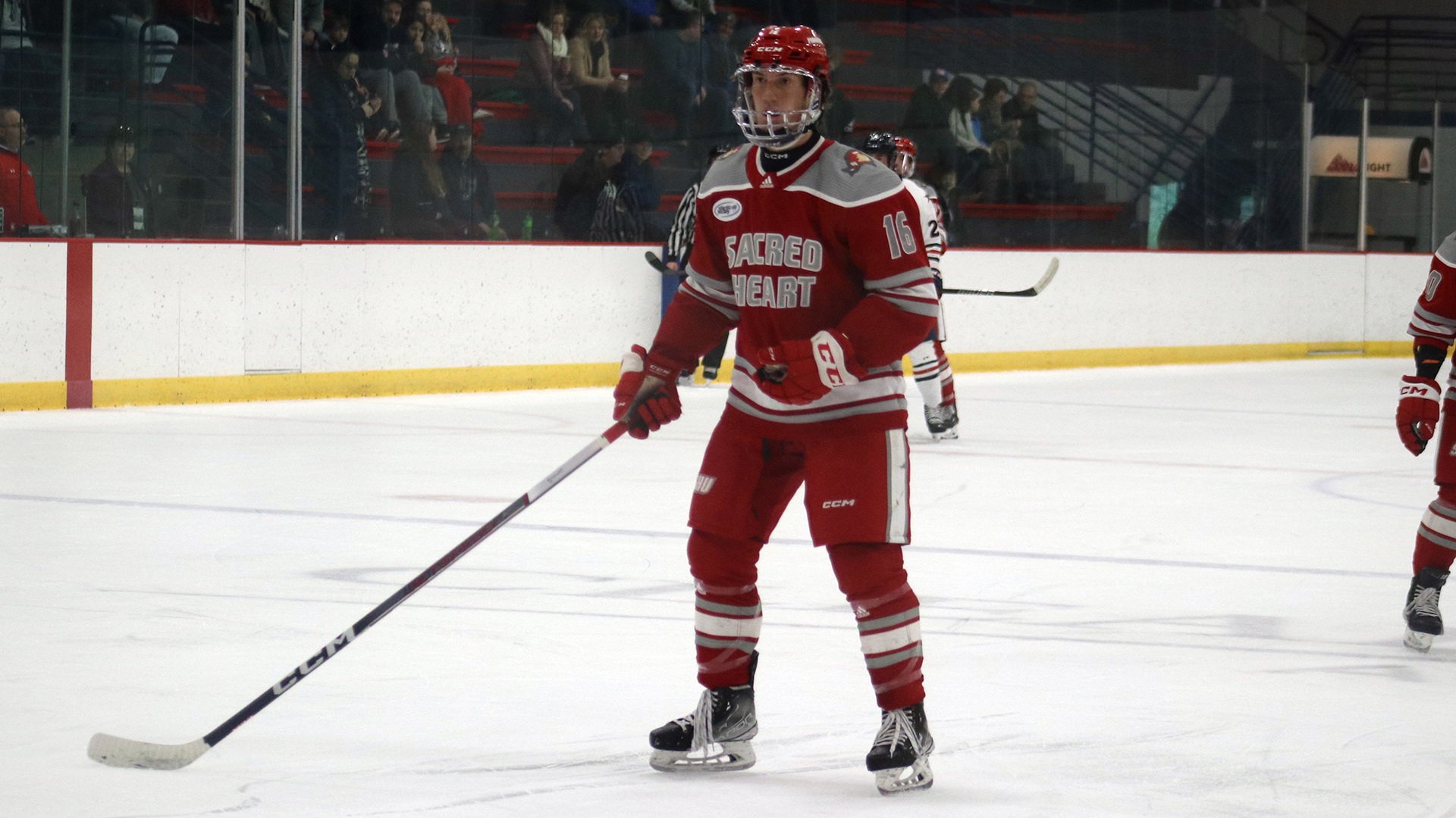 Dylan Robbins - 2023-24 - Men's Ice Hockey - Sacred Heart University