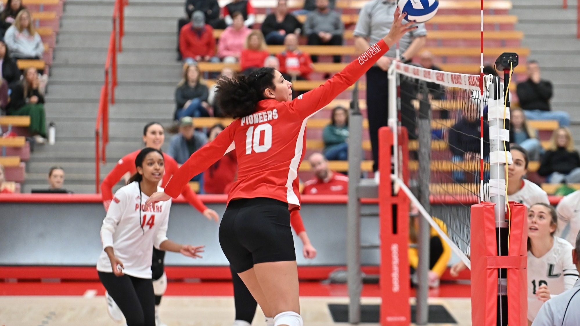 SHU Clinches NEC Championship Berth with Sweep of Le Moyne - Sacred ...