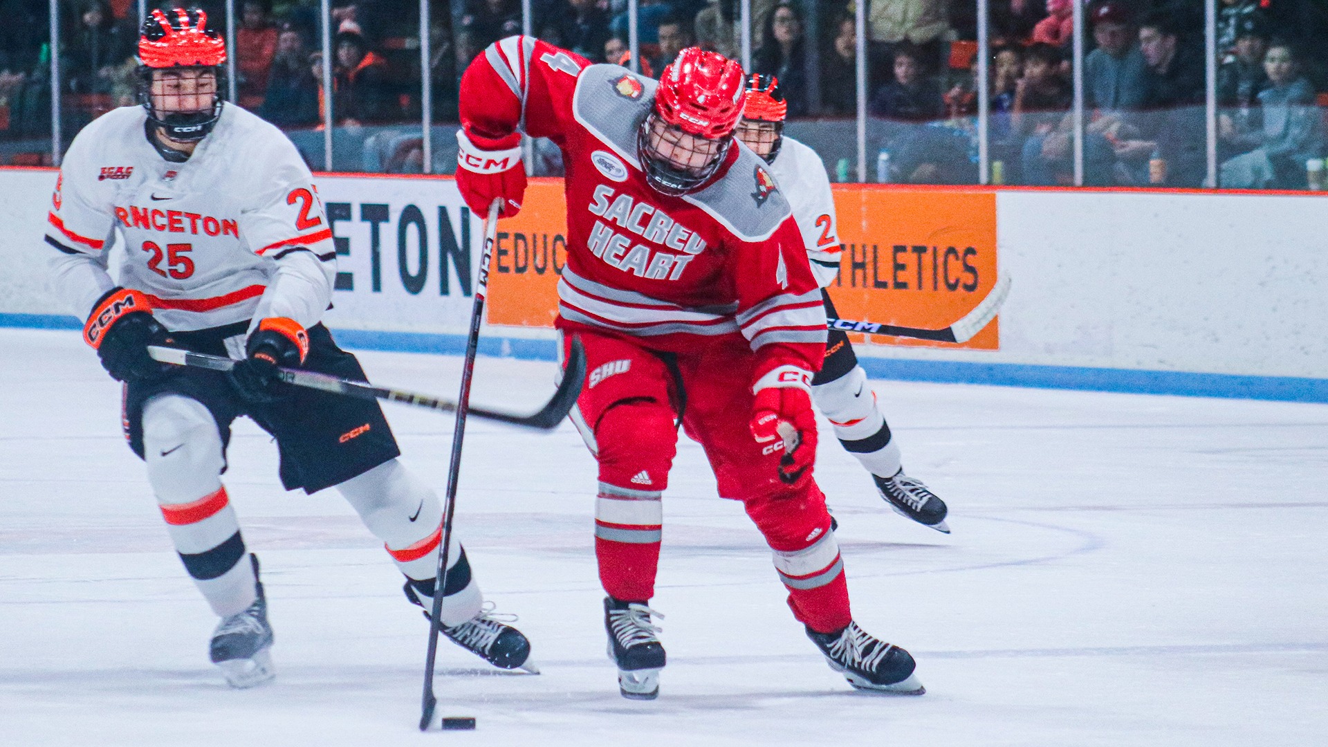 Blake Dangos - 2023-24 - Men's Ice Hockey - Sacred Heart University