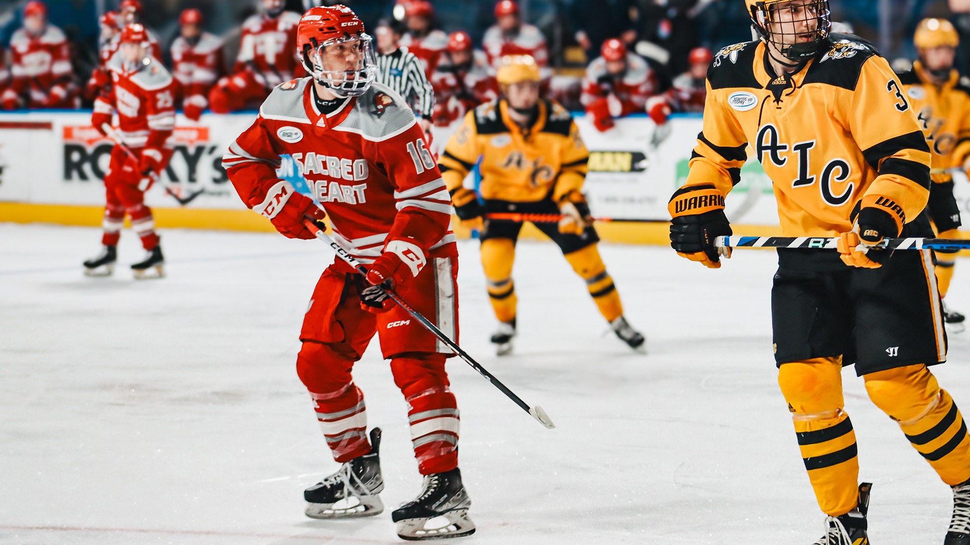 Dylan Robbins - 2023-24 - Men's Ice Hockey - Sacred Heart University