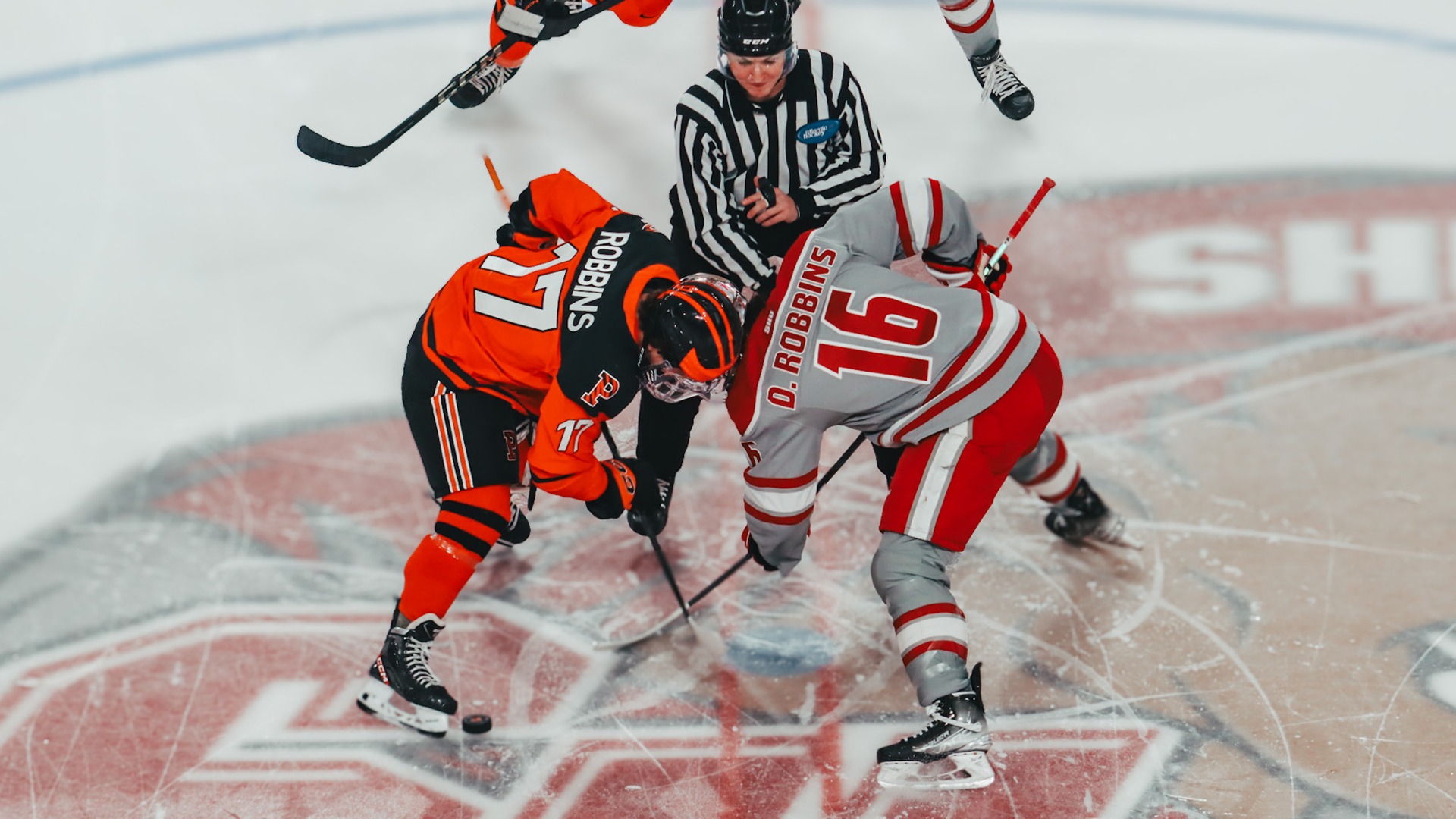 Dylan Robbins - 2023-24 - Men's Ice Hockey - Sacred Heart University