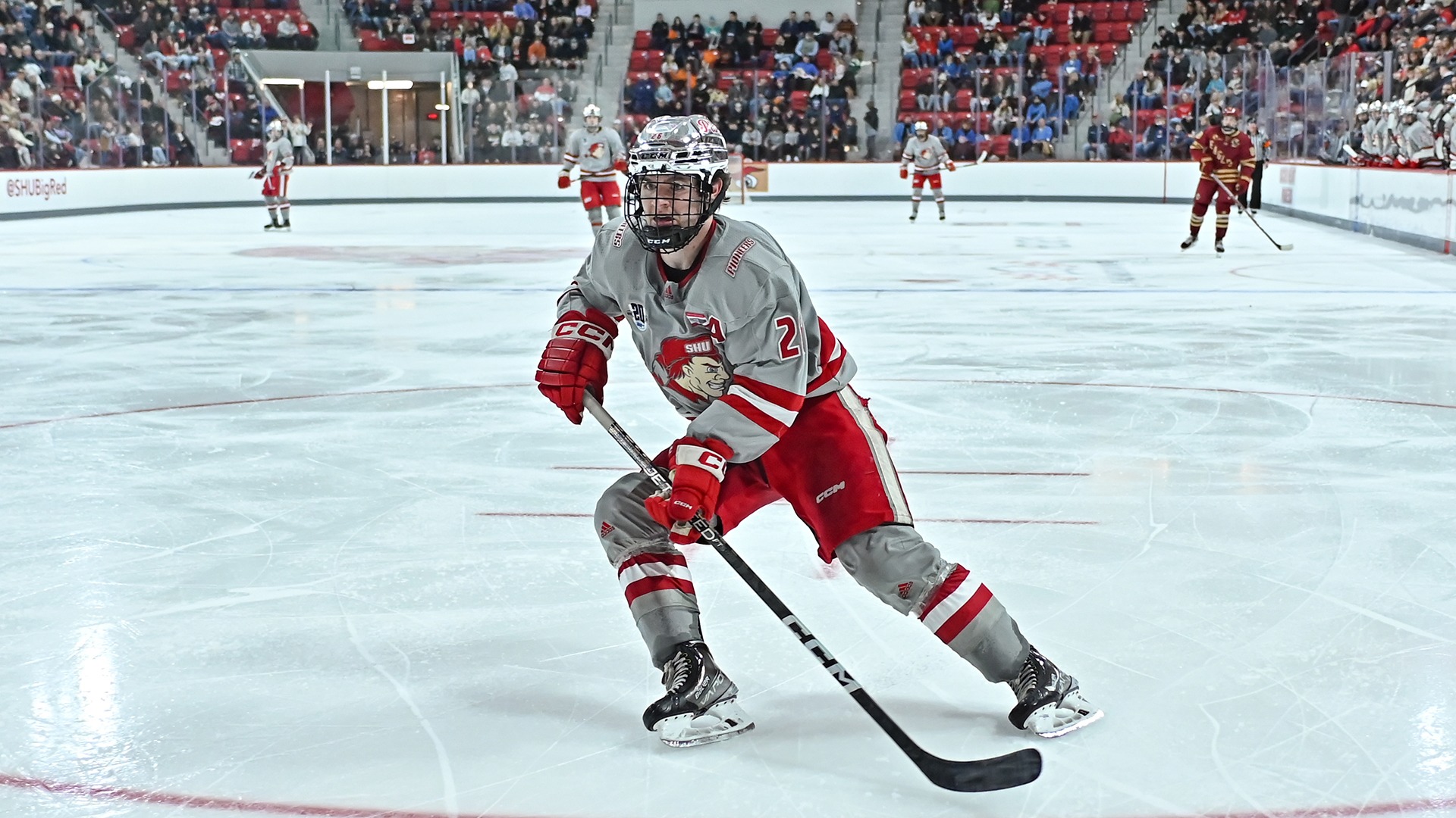 Neil Shea - 2022-23 - Men's Ice Hockey - Sacred Heart University